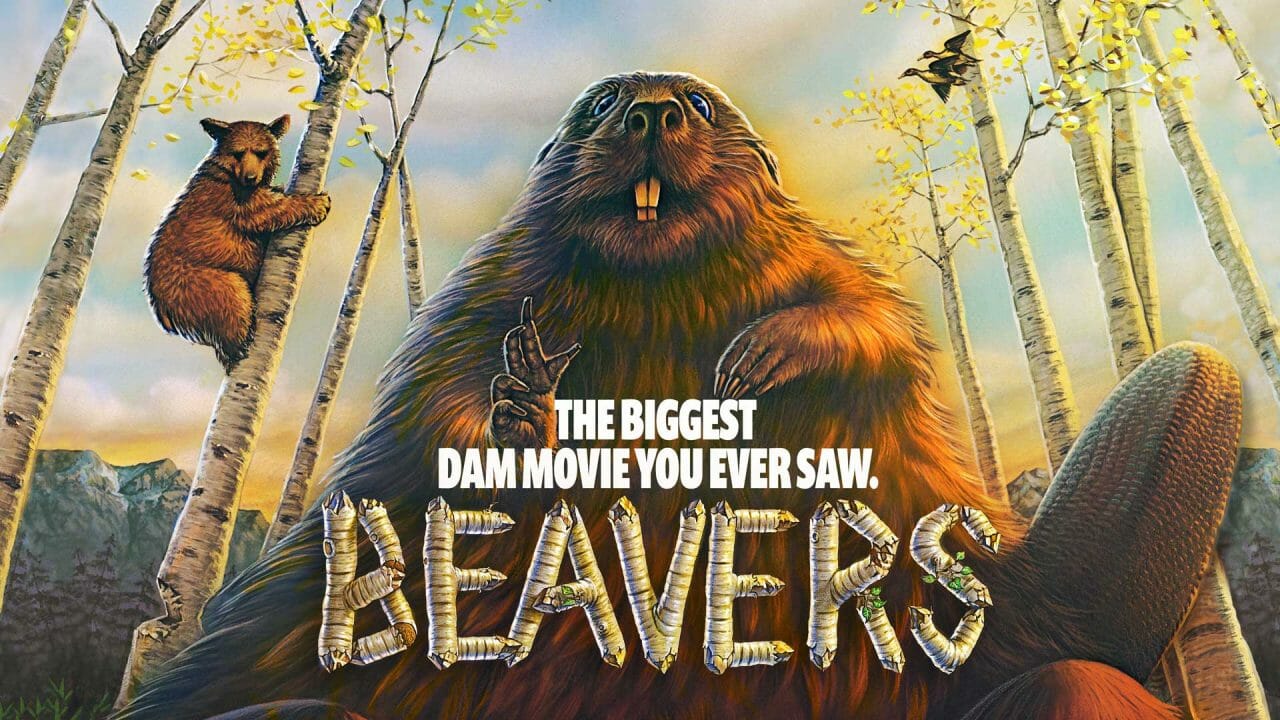 Beavers | The Stephen Low Company
