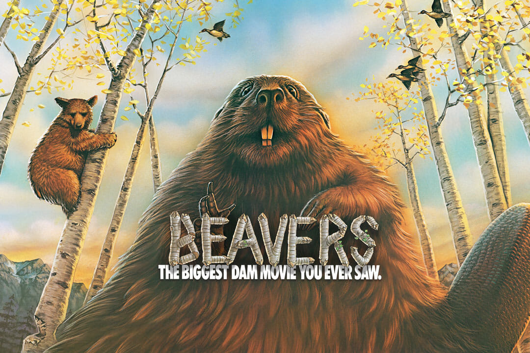 Where to See Beavers - The Stephen Low Company